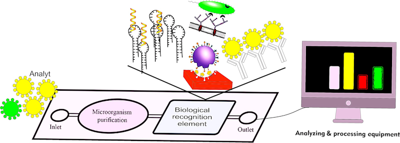 Recent Advances In Development Of Biosensors For Monitoring Of Airborne Microorganisms